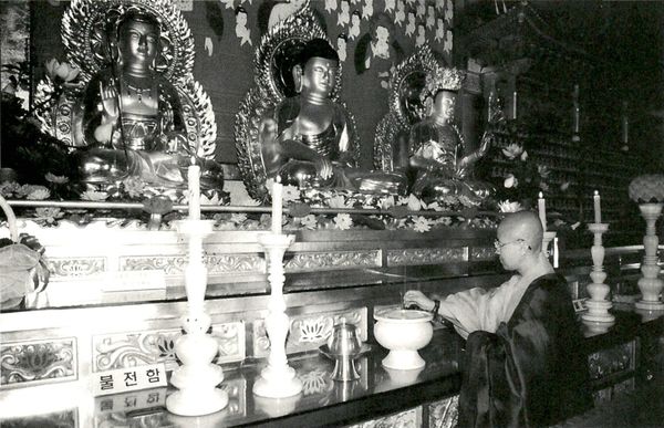 무진스님(無盡, 1954生, 비구니) - biguni