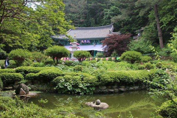 성지스님(聖智, 1926生, 비구니) - biguni