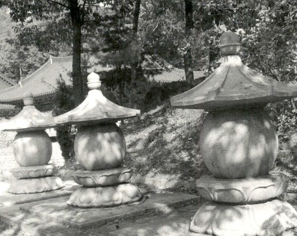 도준스님(道準, 1900生, 비구니) - biguni