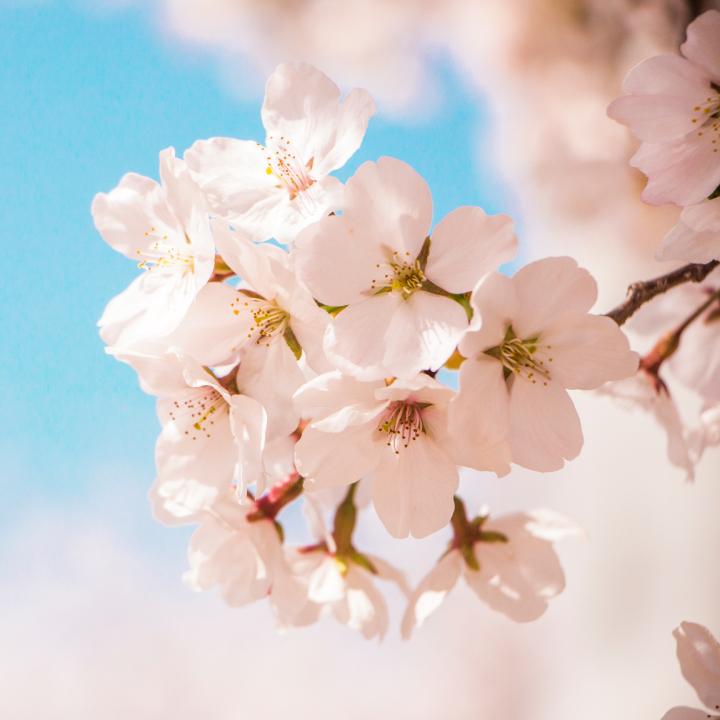 샘플:김현승YU25 - KHS DH wiki